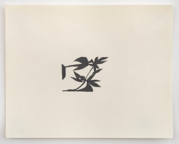 8 (shadowplant) by Susan Rowe Harrison | Artwork Archive