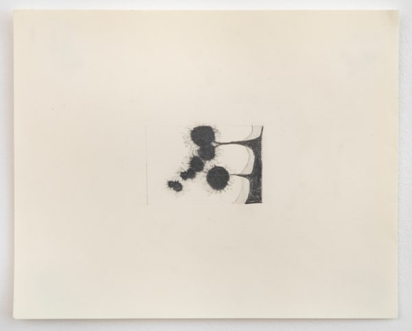 Spores by Susan Rowe Harrison | Artwork Archive