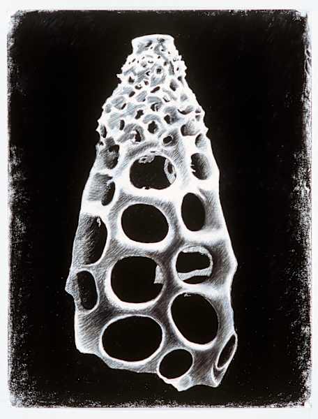 Nature Vessel #5 by Michael Warrick | Artwork Archive