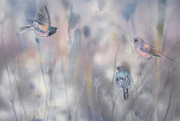 DARK EYED JUNCO by Sarah Jaynes | Artwork Archive