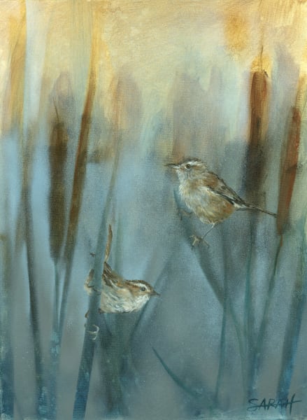 MARSH WREN by Sarah Jaynes | Artwork Archive