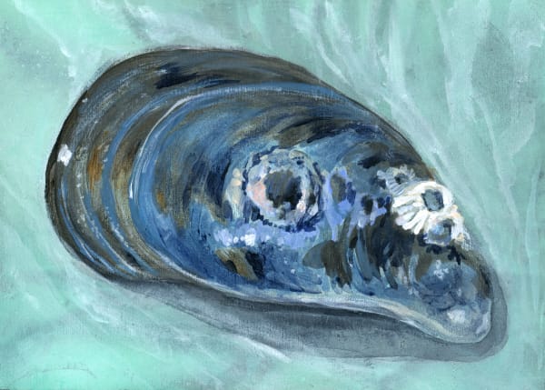 MUSSEL by Sarah Jaynes | Artwork Archive