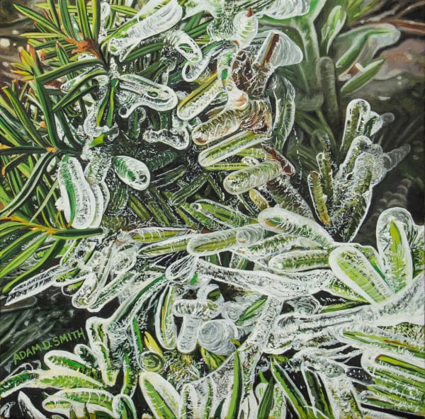 Frozen Evergreen from the collection of Art Studio Hamptons Gallery ...