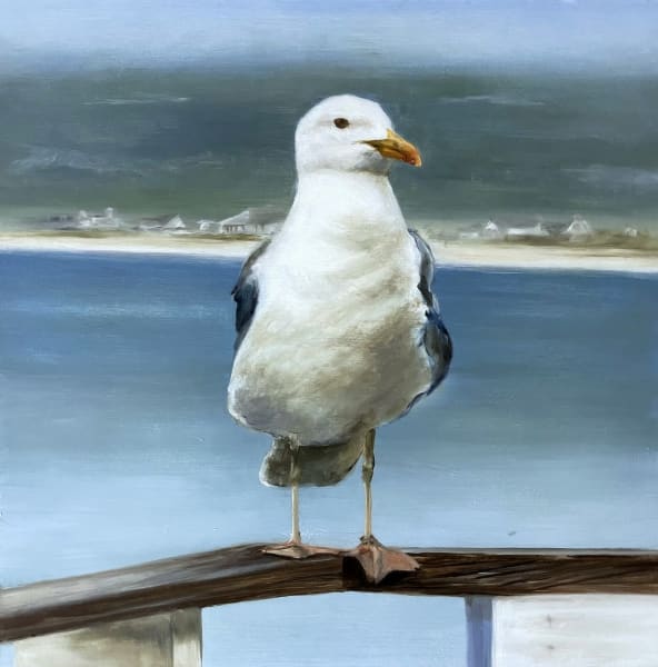 Seagull from the collection of Art Studio Hamptons Gallery | Artwork ...