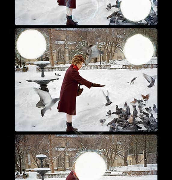 Regular 8 (pigeons) from the collection of The Donovan Collection ...