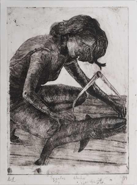 Squalus clarkae from the exhibition ARTEFFECT at MCAAD: Visualizing ...