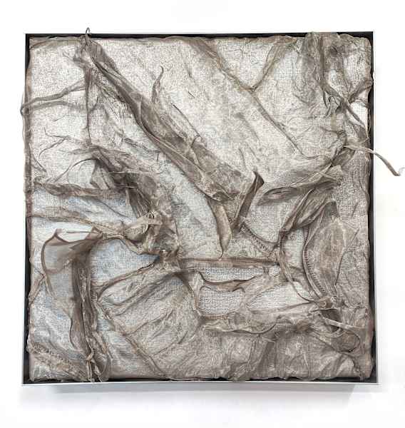 Liminal light ii by Alysn Midgelow-Marsden | Artwork Archive
