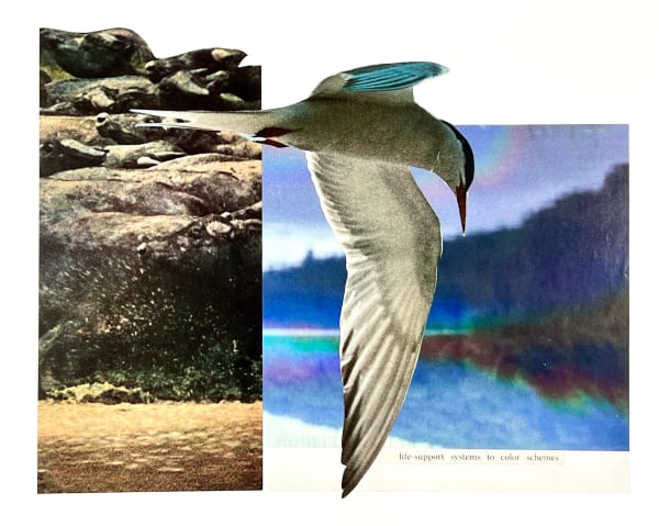 life-support systems for color schemes by Brad Terhune | Artwork Archive