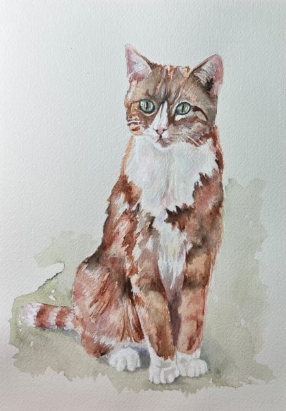 Ginger by Amy DeVane | Artwork Archive