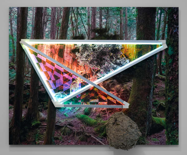 Jeffrey Pine, Yosemite National Park / Jukai, Mount Fuji by James Clar ...