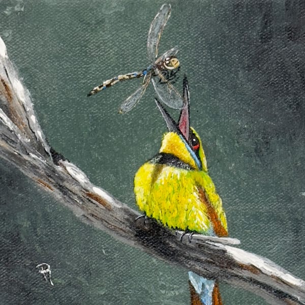 Rainbow Bee Eater Art Print - 8x8 #1 by Donna Richardson | Artwork Archive