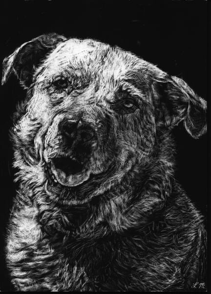 Scratch Dog by Leanne Marchand | Artwork Archive