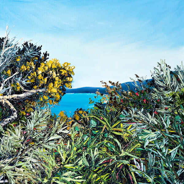 Hat Head Beach Walk by angela Hawkey | Artwork Archive