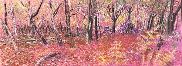 Intensity of Beauty - Knole Park by Debbie Farquharson | Artwork Archive
