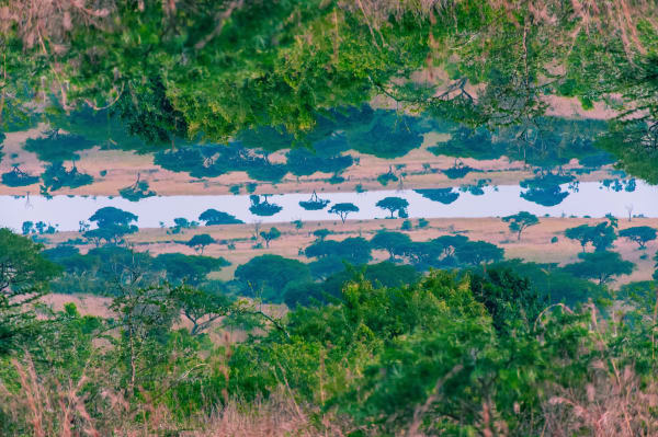 Layered Ugandan landscape - Murchison by Kate Brogdon | Artwork Archive