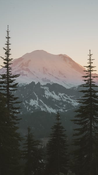 Dylan James Lockard // 22 by Dylan James Lockard | Artwork Archive