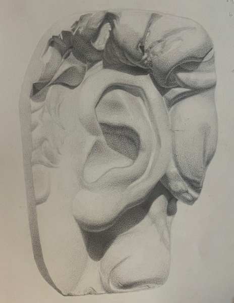 Michelangelo's David - Cast Study by James Parker | Artwork Archive