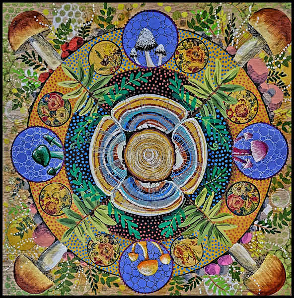 Mushroom Mandala by Debra Sue Solecki | Artwork Archive
