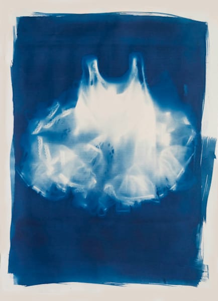 Tutu from the collection of Perry Lawson Fine Art | Artwork Archive