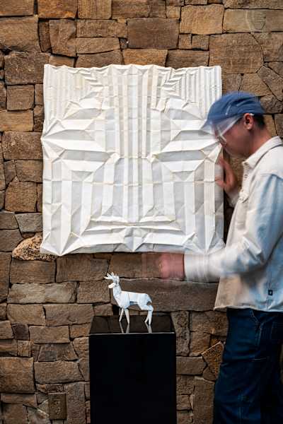 Buck Skin, Deer Unfolded, opus 787 by Kevin Box Studio | Artwork Archive