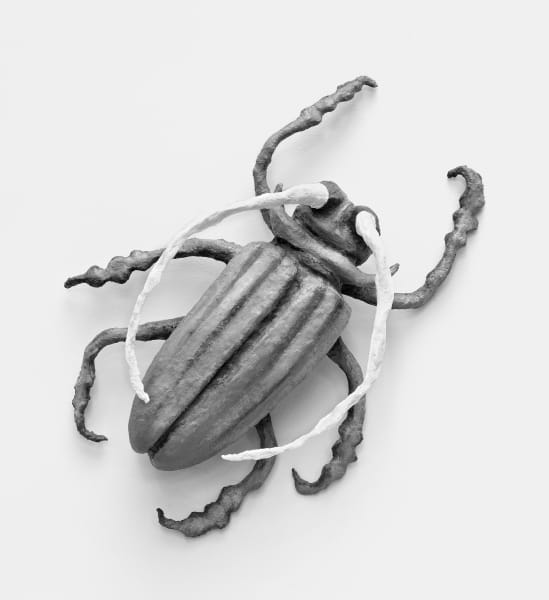 Grey Beetle White Horn / White Horned Beetle by Joan Danziger | Artwork ...