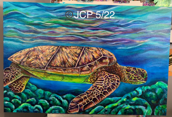 Edward, the Golden Loggerhead Turtle by Jennifer C. Pierstorff ...