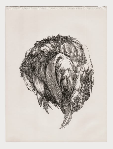 Collection Birds From Memory from Lucie Van der Elst | Artwork Archive