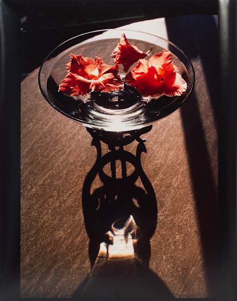 Floating Hibiscus from the collection of Surf Point | Artwork Archive