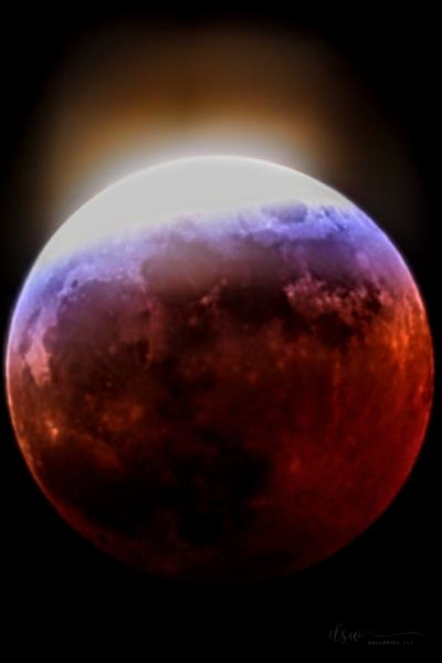 The Lunar Clips, First Edition by Jeremy Likness | Artwork Archive