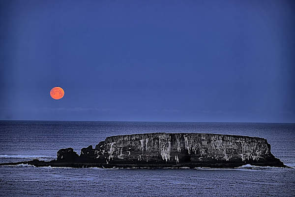Snow Moon over Gull Rock by Jeremy Likness | Artwork Archive