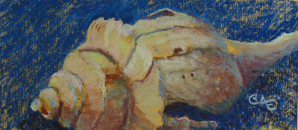 Broken Shell by Catherine Kauffman | Artwork Archive