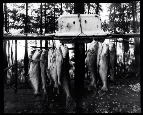 Catfish at Bee Lake, Holmes County, MS from the exhibition Mostly ...