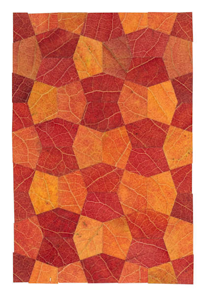 Stoneleigh Garden Franklinia Cairo Tiling Papillon Quilt by Jody Graff ...