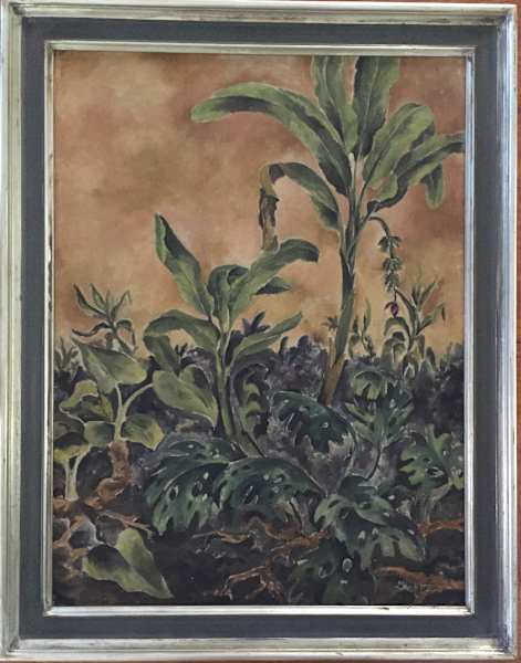 Vintage Plants from the collection of Studio MGH | Artwork Archive