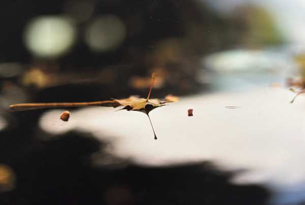 Collection Fragments urbains - Urban Fragments from André JAY ...