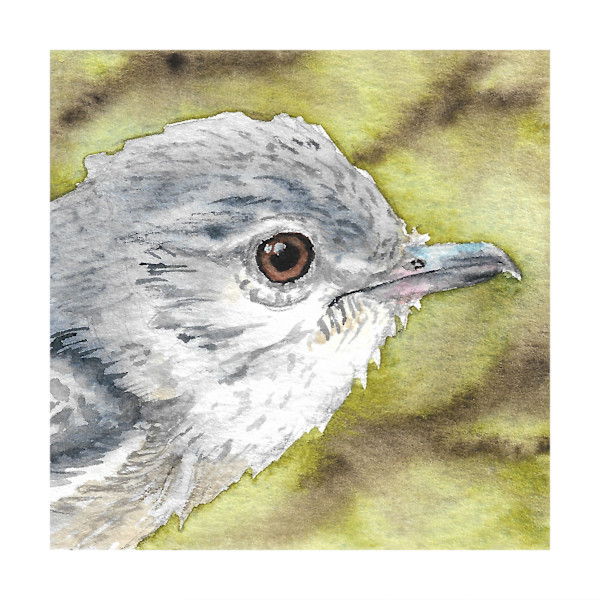 Purple Martin - Oct 24, 2025 by Stacy Hilton Klutzke | Artwork Archive