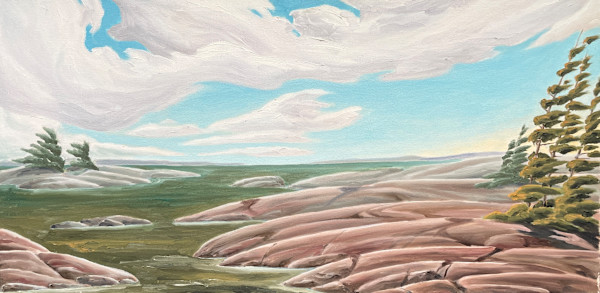 Nature’s Resilience, Georgian Bay by Chris James Cooper | Artwork Archive