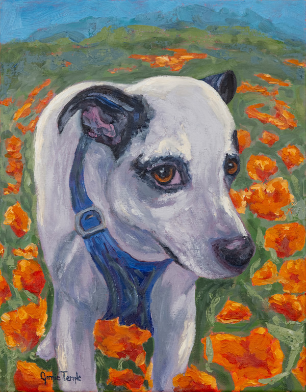 Polka Dot Pup by Jamie Temple | Artwork Archive