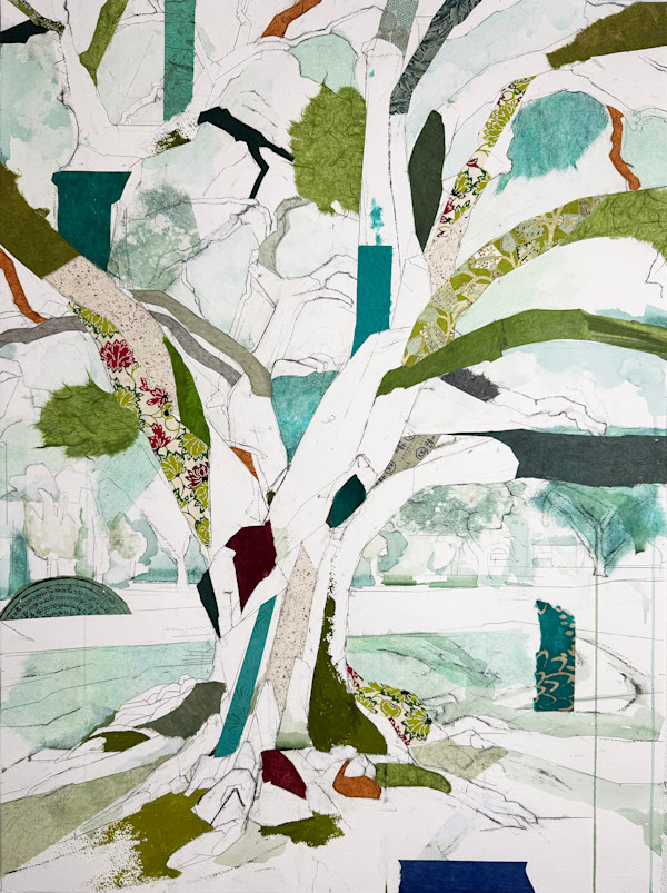 Anita Street Oak I (Joy) 32° 50’ 04” N 96° 44’ 57.50” W by Jill Lear ...