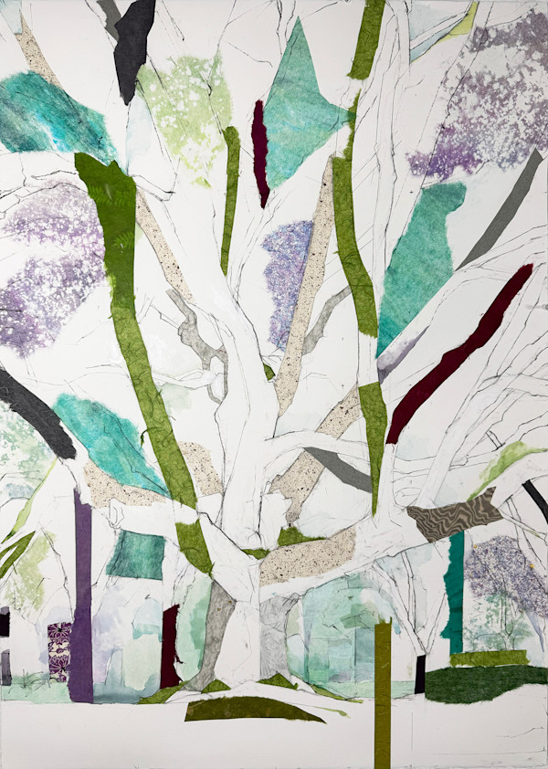 Anita Street Oak I (Joy) 32° 50’ 04” N 96° 44’ 57.50” W by Jill Lear ...