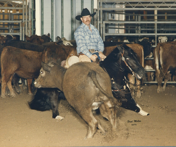 Pepo Hank King from the collection of NCHA Foundation | Artwork Archive