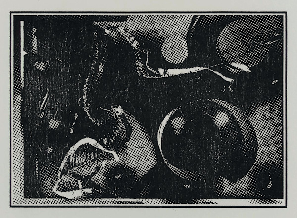 Night Moth, Winter Sky by Philip Hurtig | Artwork Archive