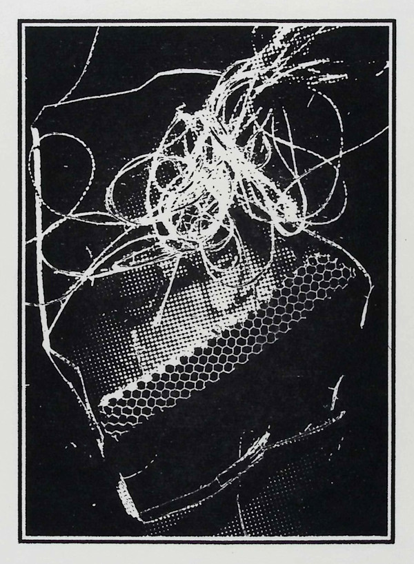 Night Moth, Winter Sky by Philip Hurtig | Artwork Archive