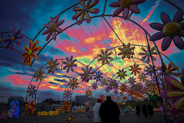 Hillcrest Garage by Kate Brogdon | Artwork Archive