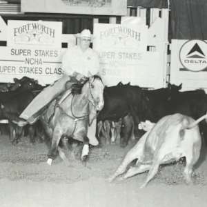 Pep N Oak from the collection of NCHA Foundation | Artwork Archive